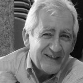 Martín Rebollo, Luis, autor en Legal Today